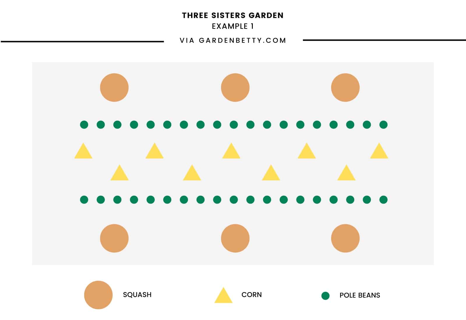 Planting a Three Sisters Garden | Garden Betty