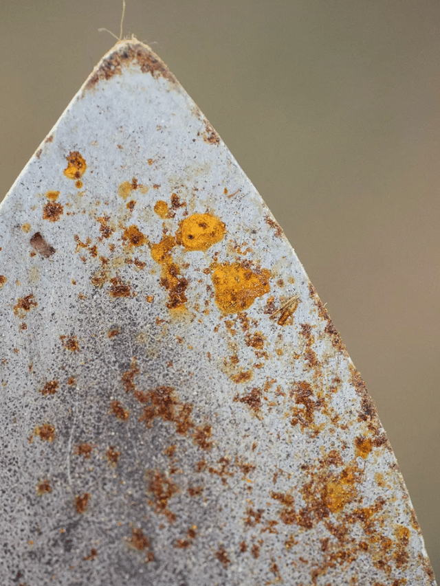 Got Rust? Here’s the Best Way to Remove Rust From Tools – Garden Betty